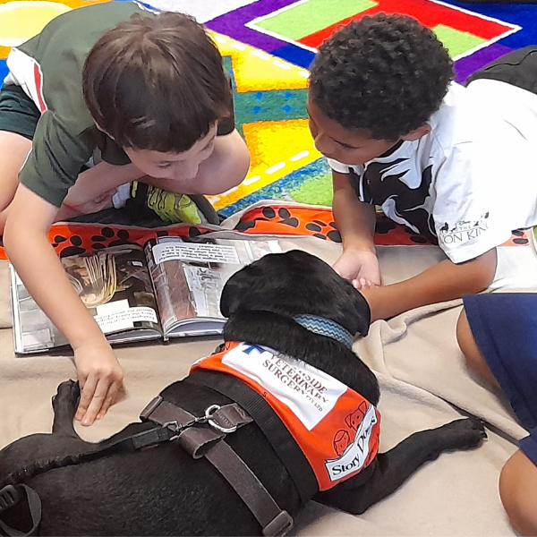 What's On - Cairns Library