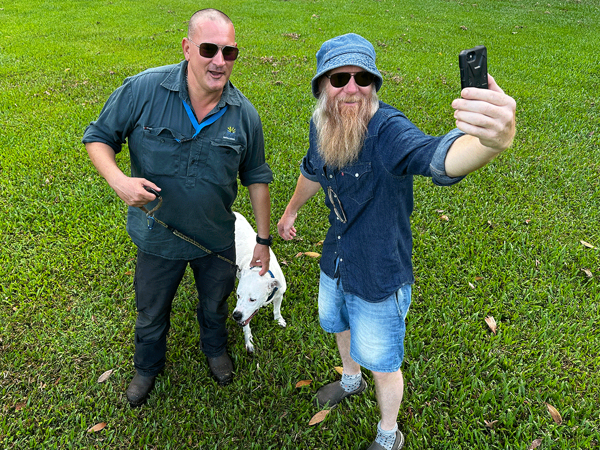 Dogs | Cairns Regional Council