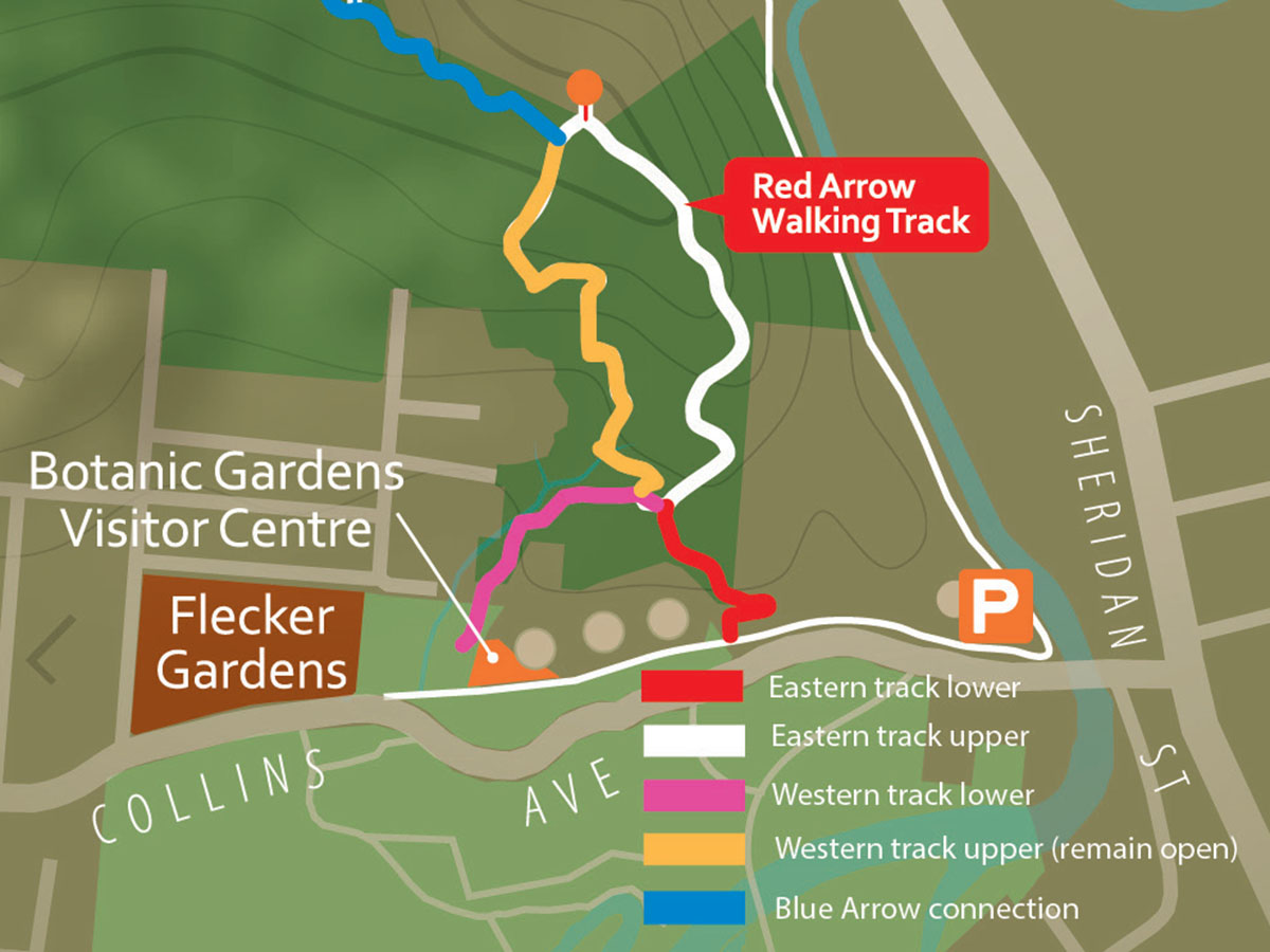 Tracks & trails | Cairns Regional Council