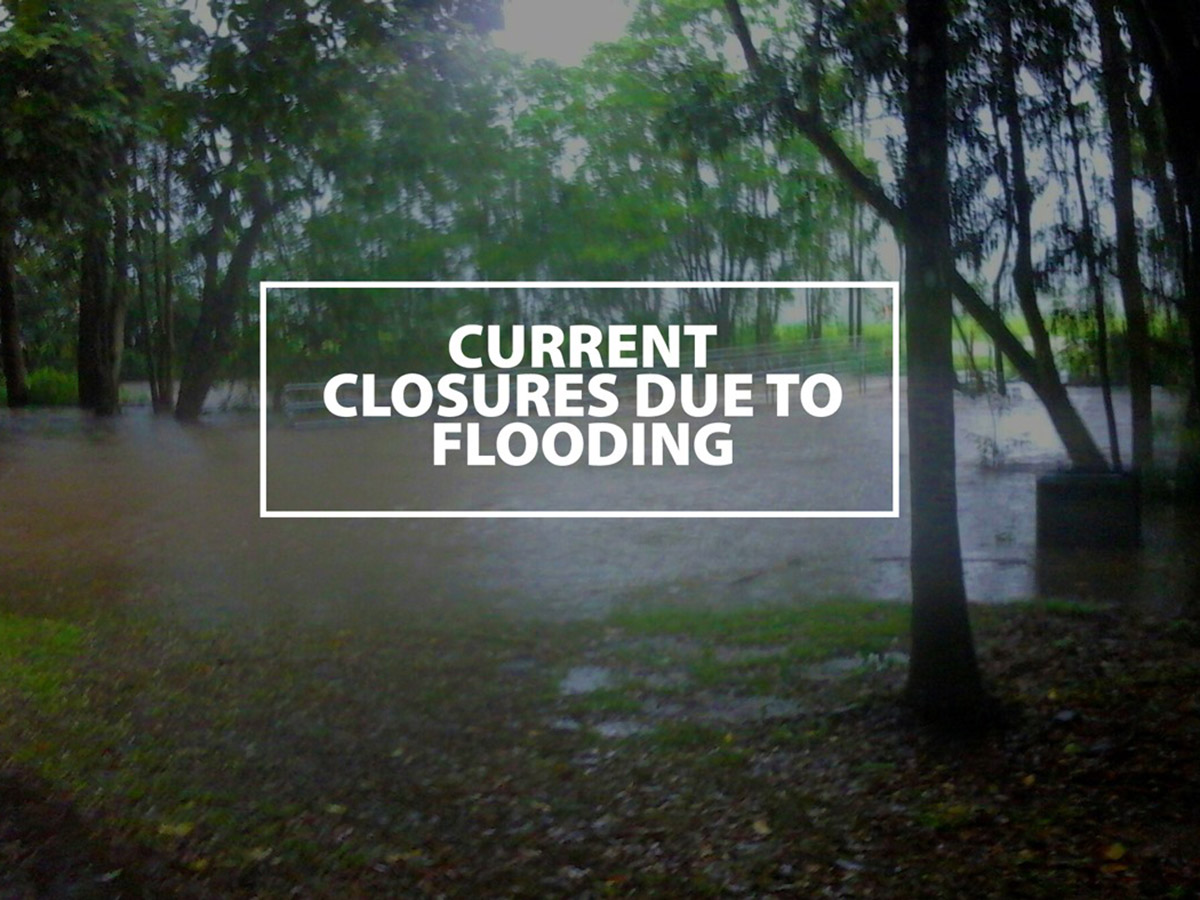 Park and sporting field closures due to wet weather | Mirage News